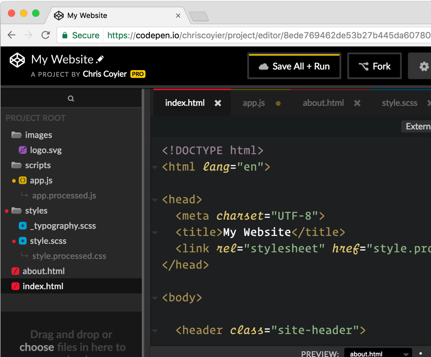 CodePen